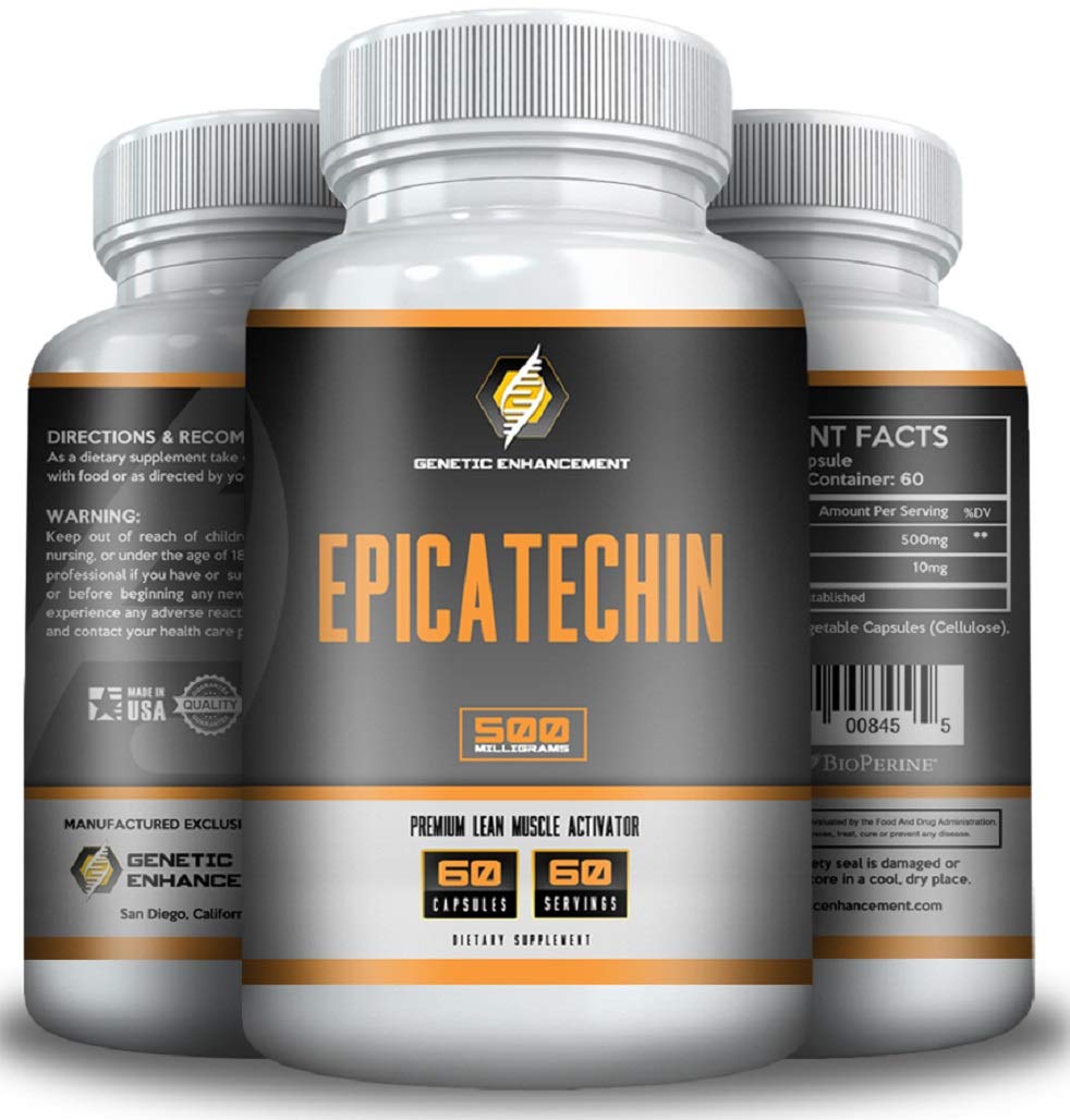 epicatechin pre-workout supplement benefits