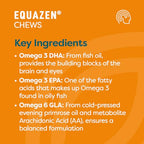 Equazen fish oil for brain health