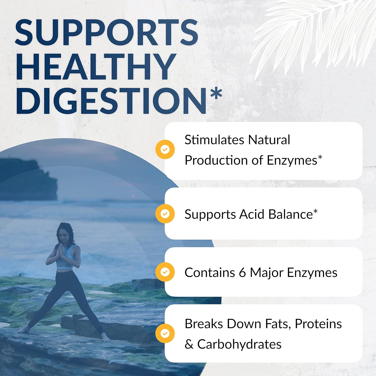 Equilife digestive enzymes for bloating relief