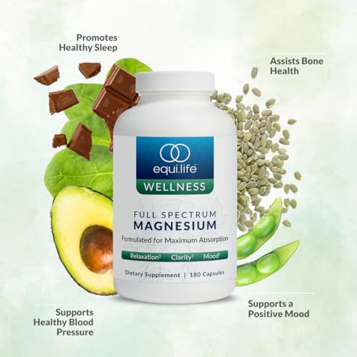 EquiLife magnesium for optimal muscle recovery