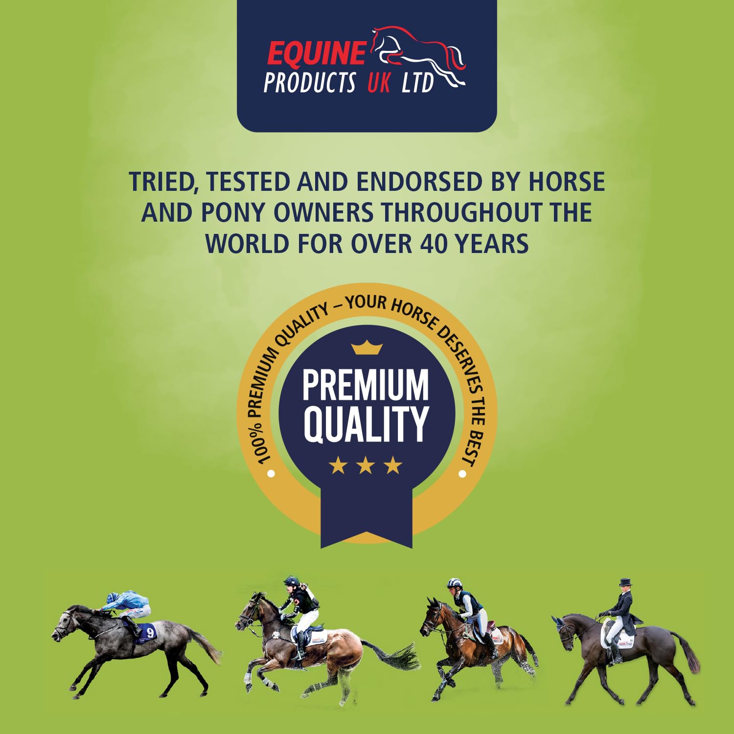 equine garlic supplement for energy