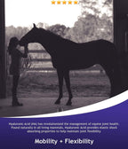 Equine hyaluronic acid syringe benefits