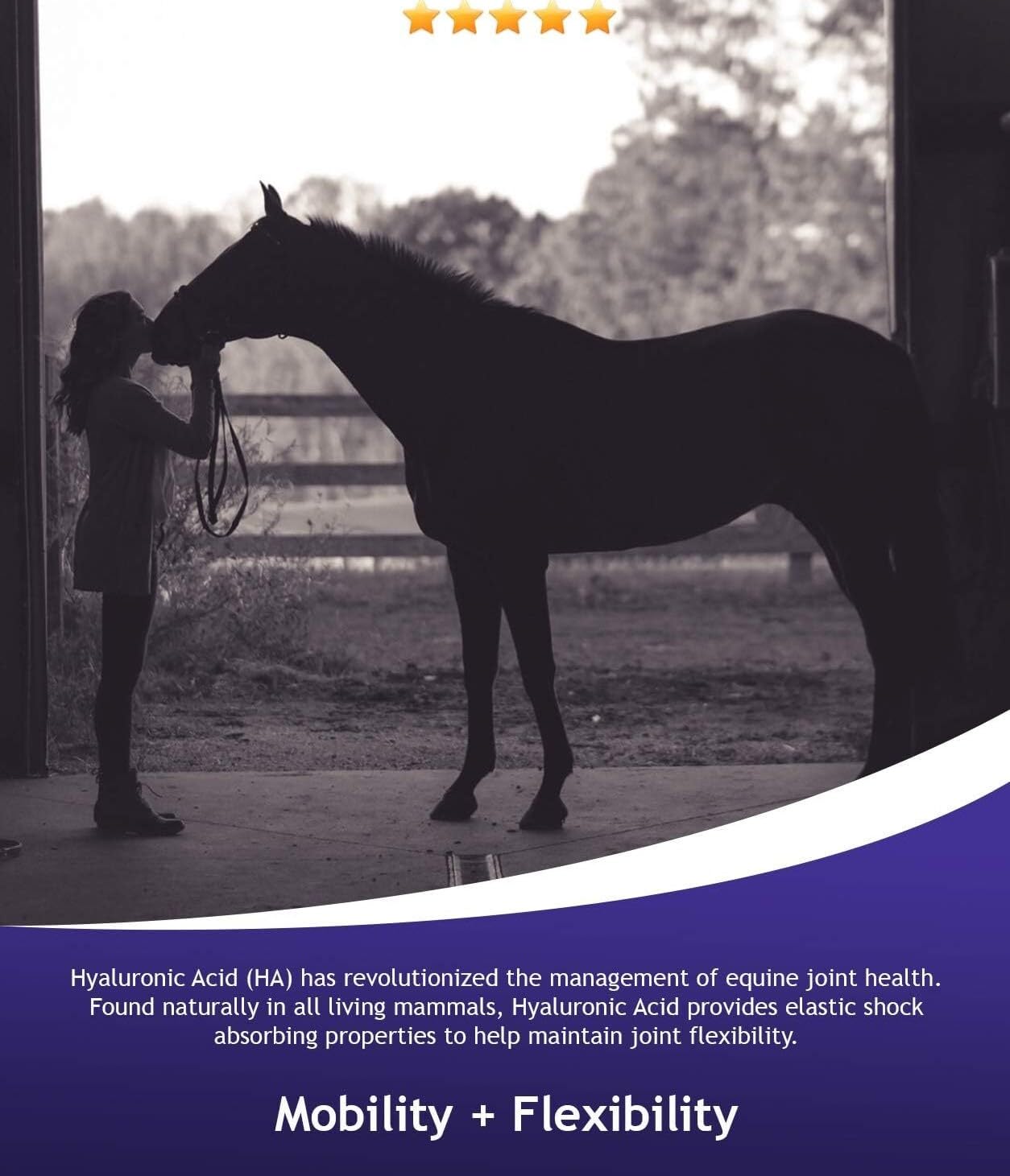 Equine hyaluronic acid syringe benefits