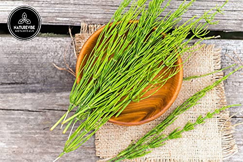 Equisetum arvense for bone health