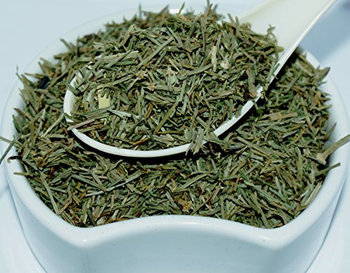 Equisetum arvense health benefits