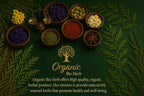 equisetum herb for healthy digestion