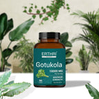 ERTHRI Gotu Kola for cognitive support