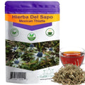 Eryngo Heterophyllum herbal tea benefits