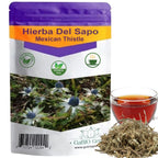 Eryngo Heterophyllum herbal tea benefits