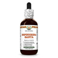 Espinheira Santa herbal supplement benefits