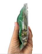 Espinheira Santa tea for daily health