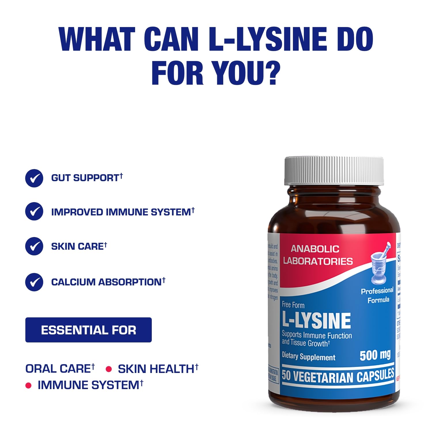 Essential amino acid L Lysine for overall health