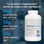 Essential amino acids for daily nutrition