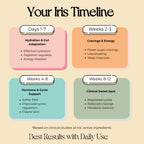 Essential B vitamins for energy boost
