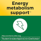 essential b vitamins for energy