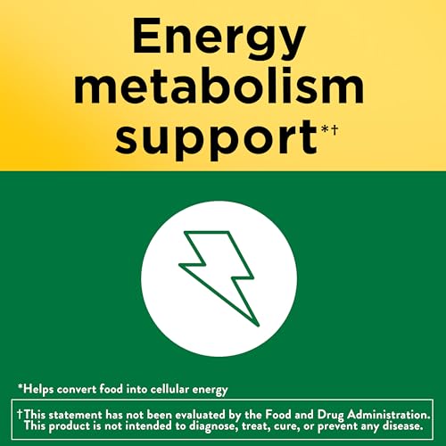 essential b vitamins for energy