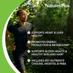 essential B vitamins for energy