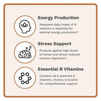 essential B vitamins for vitality