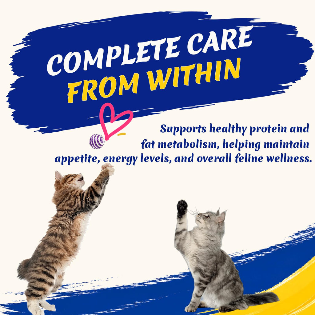Essential B12 for healthy cats