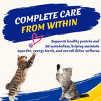 Essential B12 for healthy cats