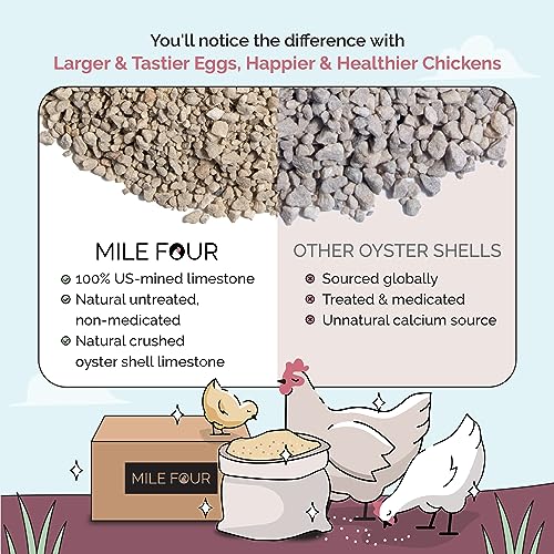 essential calcium for backyard chickens