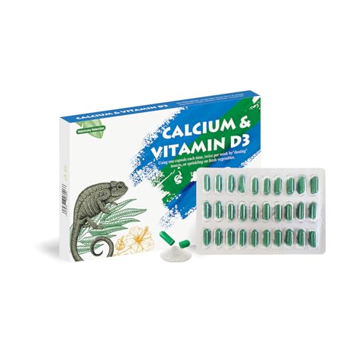 essential calcium for healthy reptiles