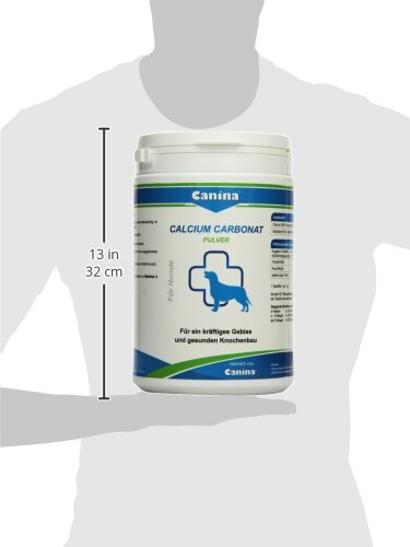 essential calcium for strong bones
