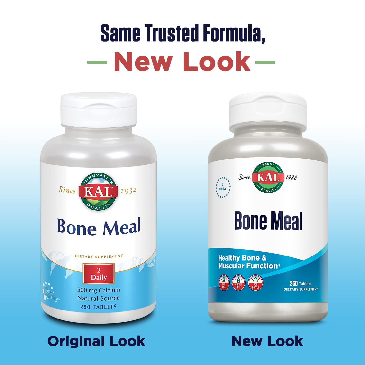 essential calcium for strong bones