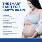 essential choline for fetal brain health