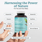 essential choline for fetal development