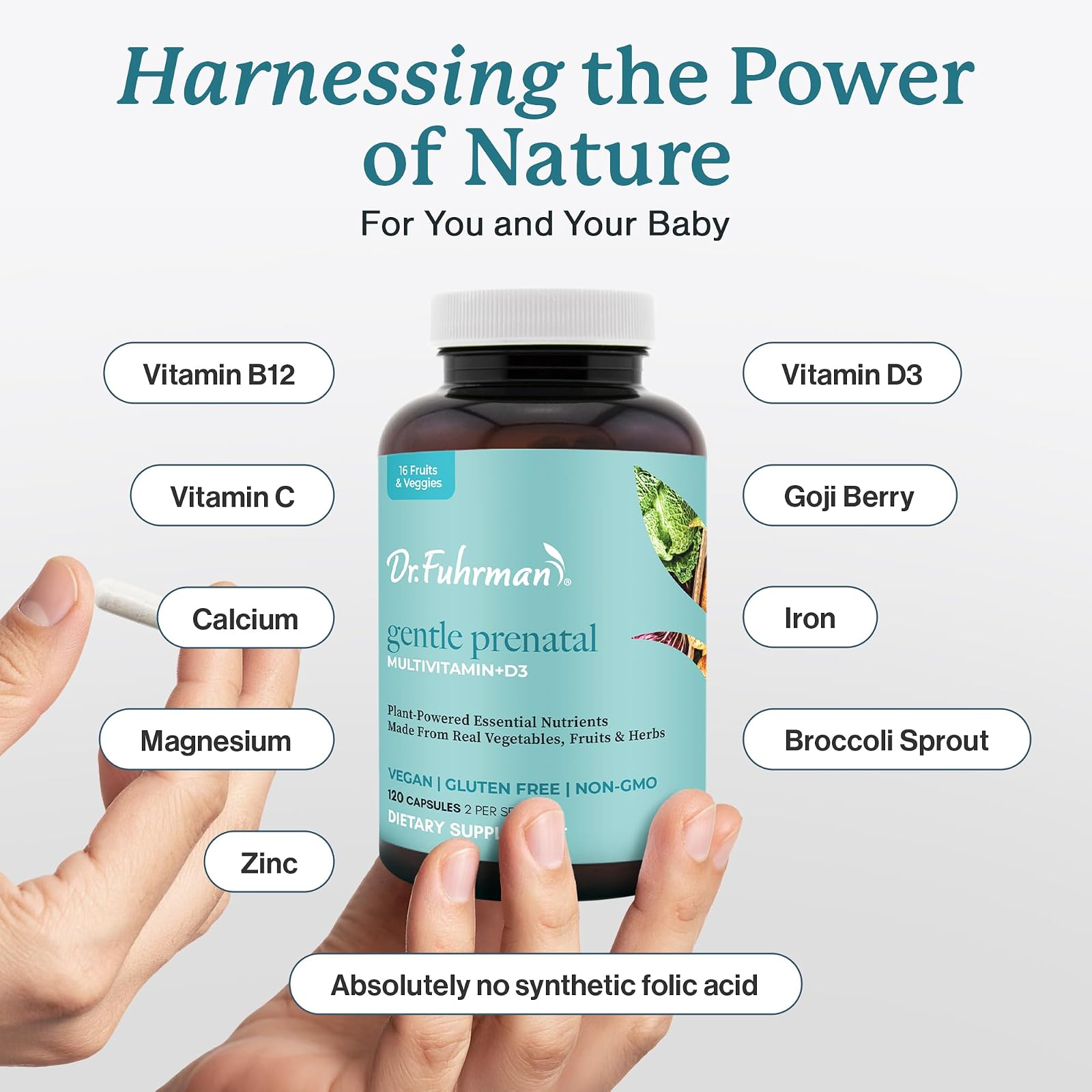 essential choline for fetal development