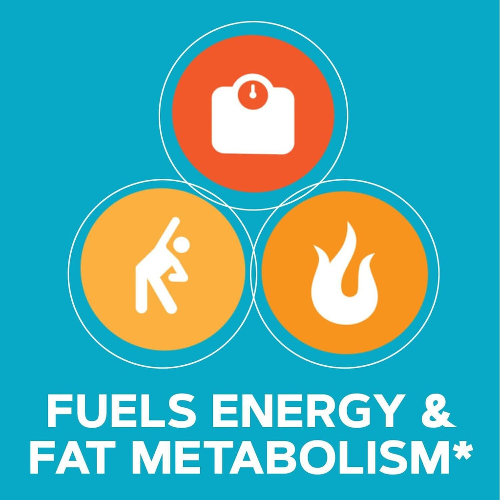 essential fats for body composition