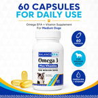 essential fats for canine wellness