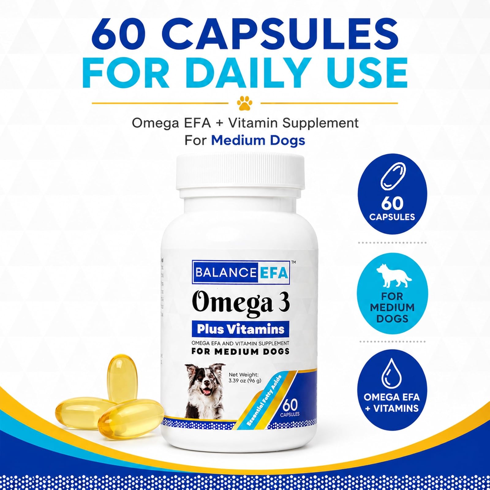 essential fats for canine wellness