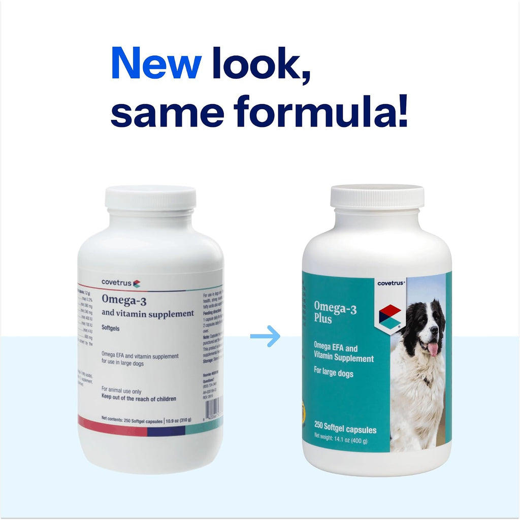 Essential fats for pet wellness