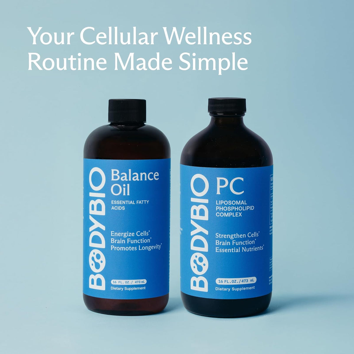 Essential fatty acids for brain function