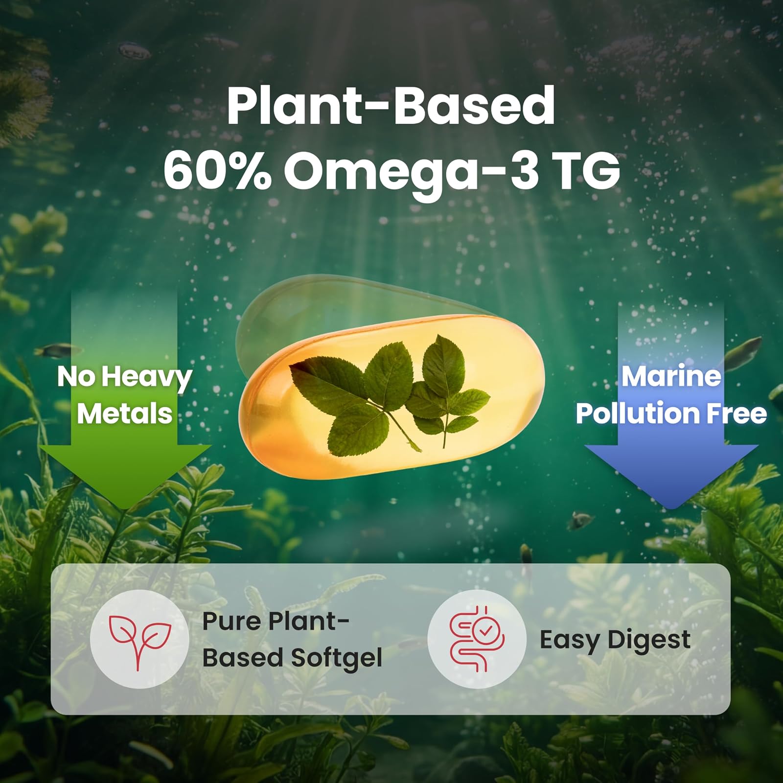 Essential fatty acids for wellness