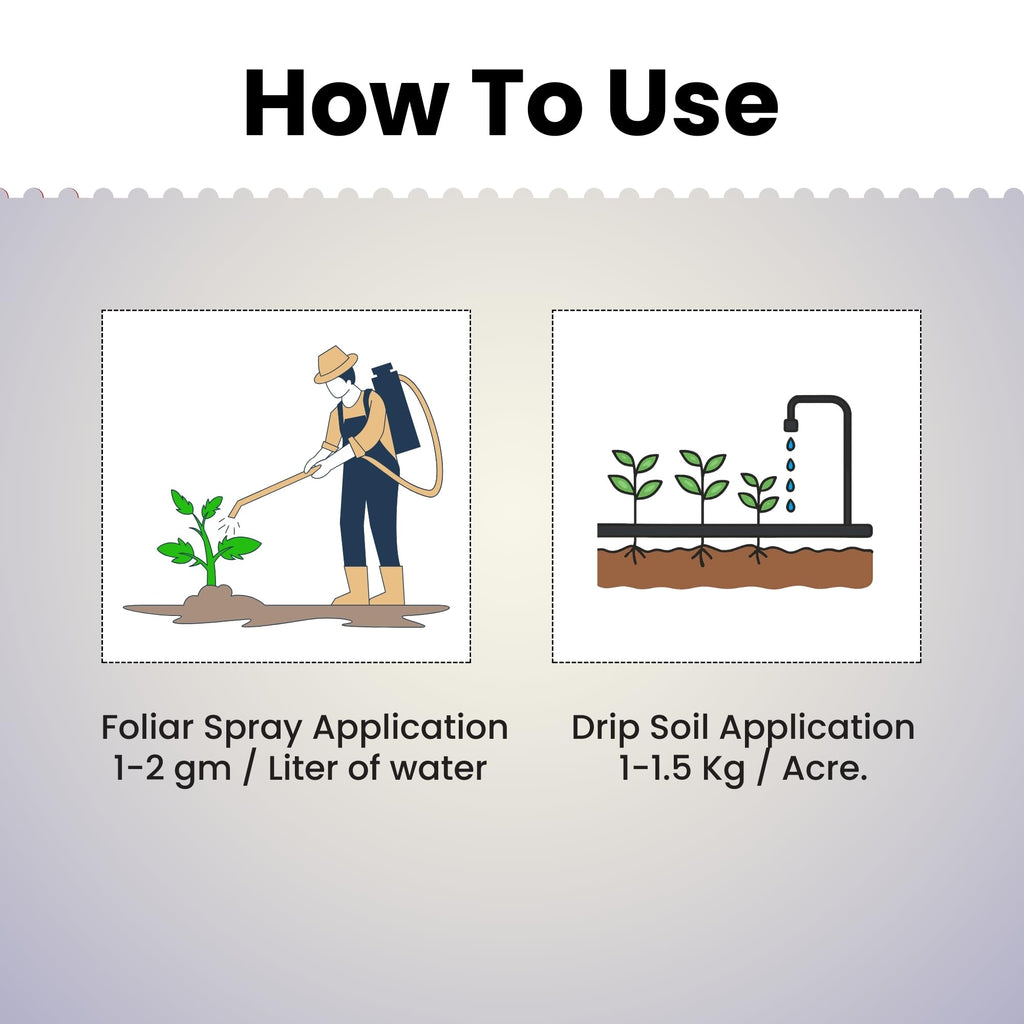 essential iron for thriving plants