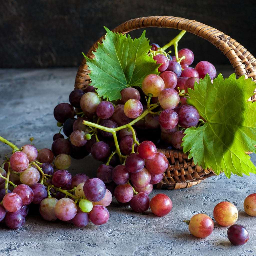 essential magnesium for overall vitality
