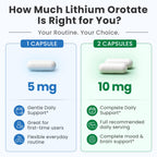 Essential minerals for brain health