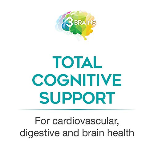 essential minerals for brain performance