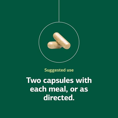 essential minerals for digestion