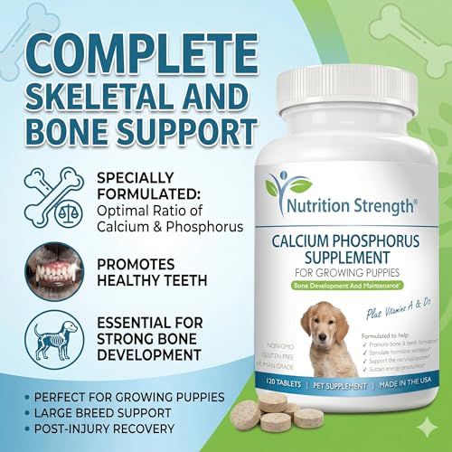 essential minerals for dog growth