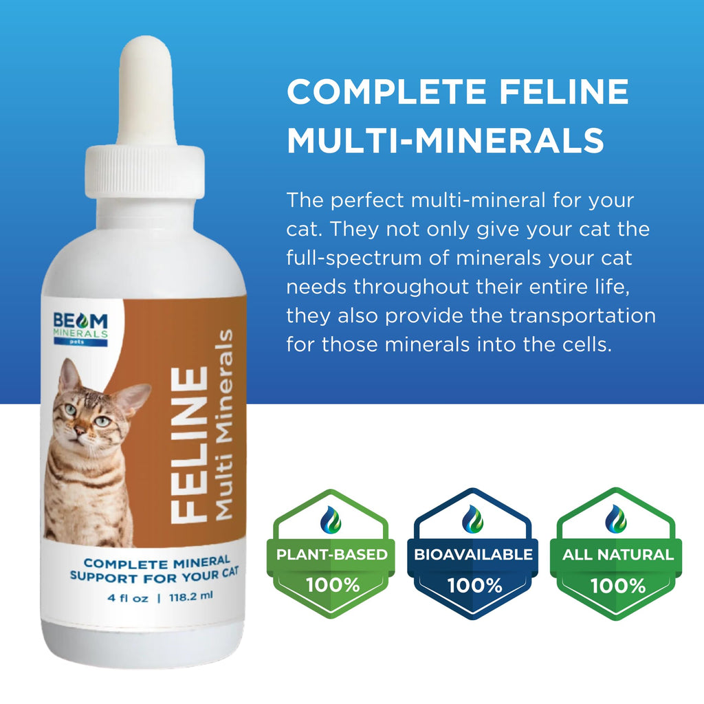 essential minerals for healthy cats