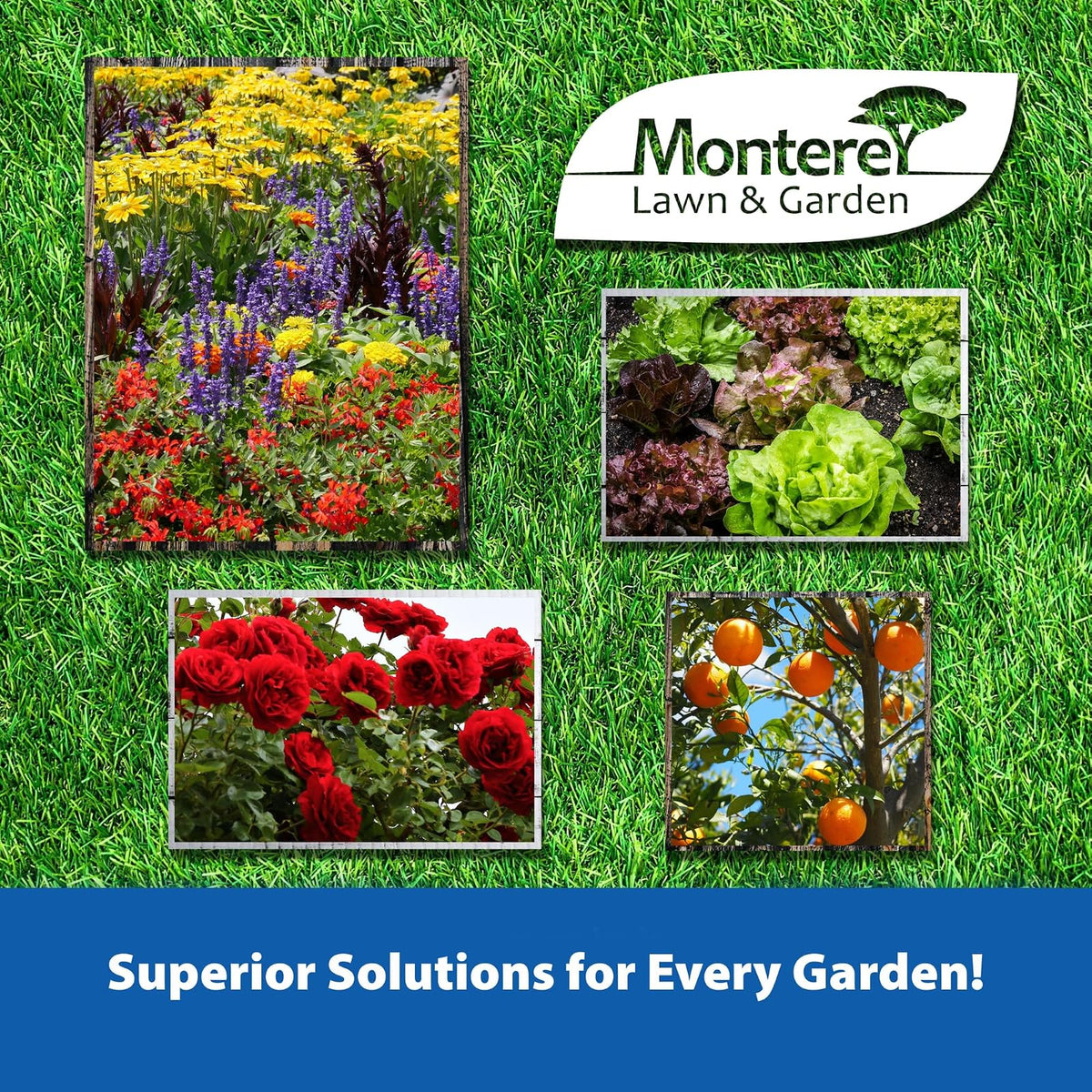 Essential minerals for healthy plants