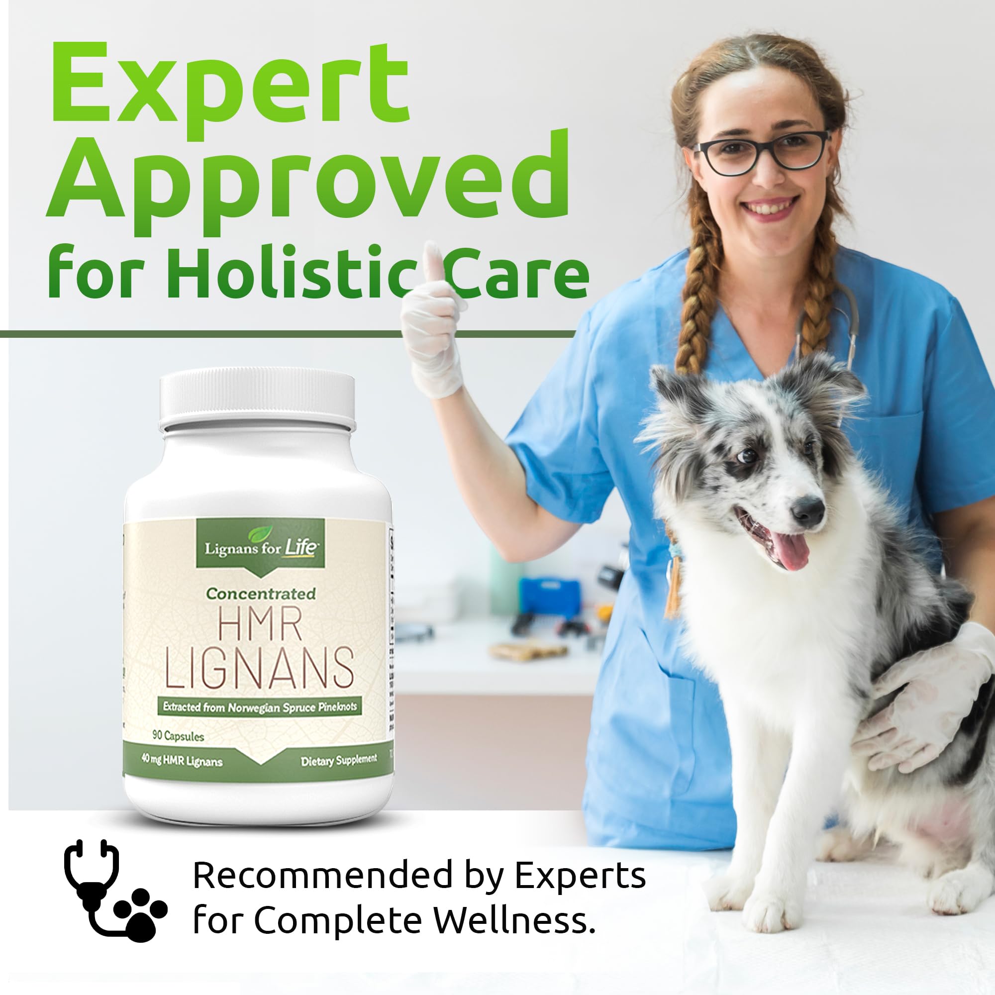 essential minerals for pet nutrition