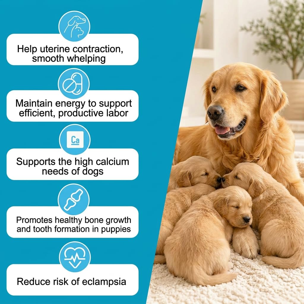 Essential minerals for pregnant dogs