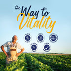 Essential minerals in Vitalitown magnesium