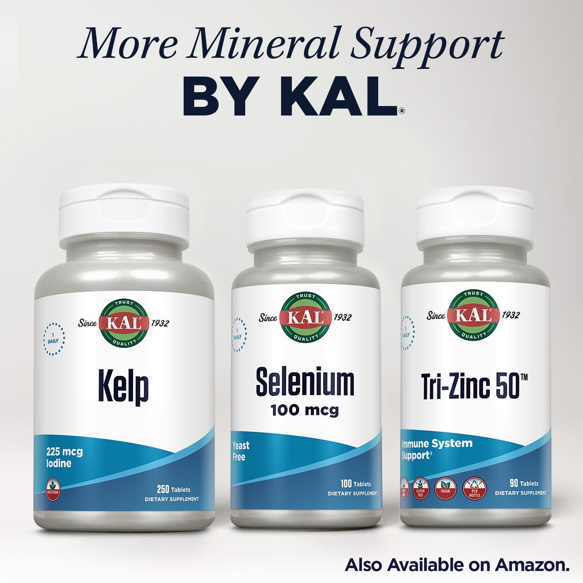 essential minerals iodine for overall health