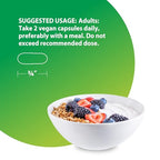Essential nutrient for pregnancy